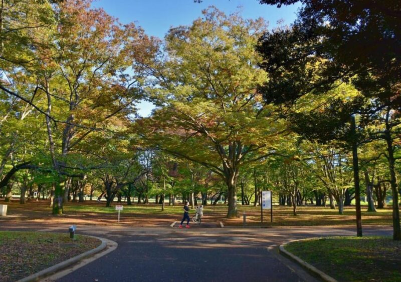 Tokyo Uncovered: A Luxury Day of Tradition & Tech - Getting the Most Out of Your Day