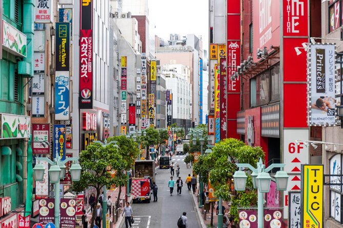 Tokyo Unlocked: Private Full-Day Tour - Customizable Itinerary