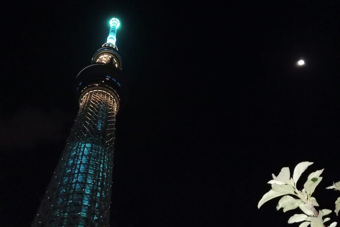 Tokyo Unlocked: Private Full-Day Tour - Customer Feedback