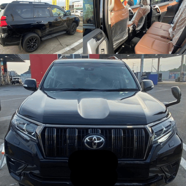 Tokyo: Unmissbale Private Tour To Mount Fuji in Vellfire - Luxury Transportation Options