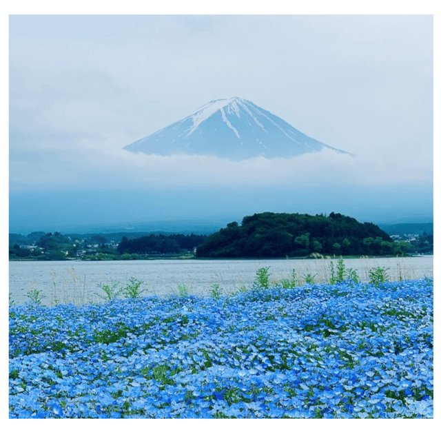 Tokyo: Unmissbale Private Tour To Mount Fuji in Vellfire - Frequently Asked Questions