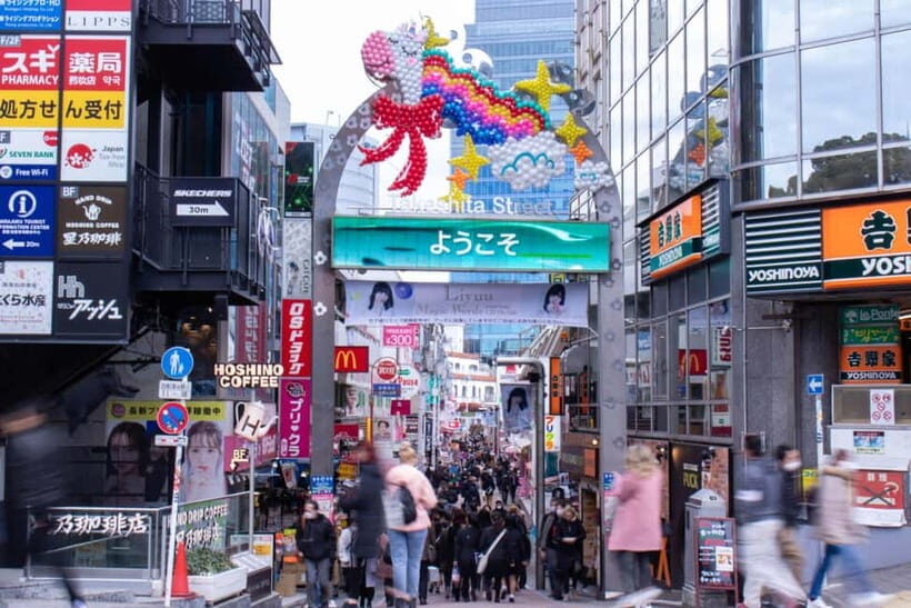 Tokyo: Vegan Sushi and Meiji Shrine and Harajuku Walk - The Sum Up