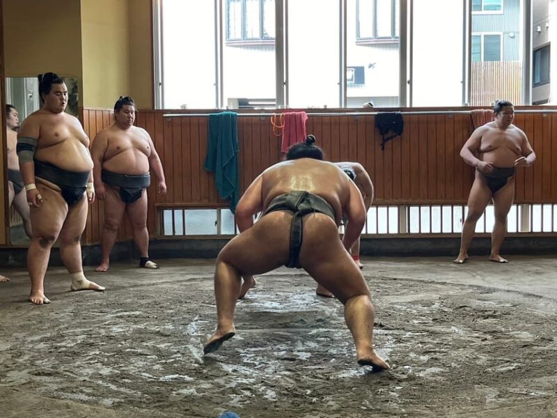 Tokyo: Visit Sumo Morning Practice With English Guide - Participant Feedback and Ratings