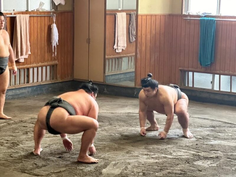 Tokyo: Visit Sumo Morning Practice With English Guide - What to Expect During the Sumo Training