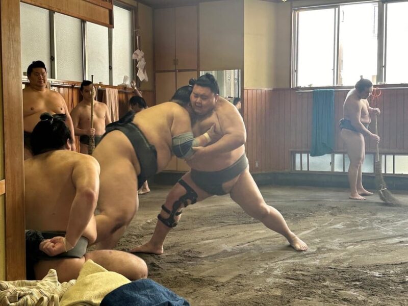 Tokyo: Visit Sumo Morning Practice With English Guide - Tips for Enhancing Your Sumo Experience