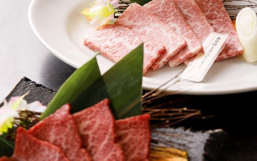 Tokyo: Wagyu Yakiniku Tokori Dining Options - Detailed Experience Breakdown