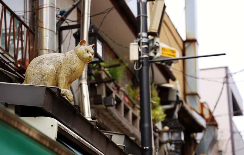 Tokyo: Walking Tour of Historic Shopping Streets - Who Should Consider This Tour?