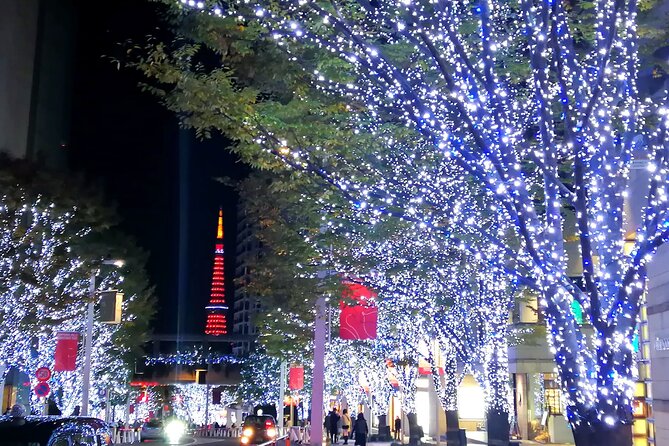 Tokyo Winter Illumination Ebike Tour - Inclusions
