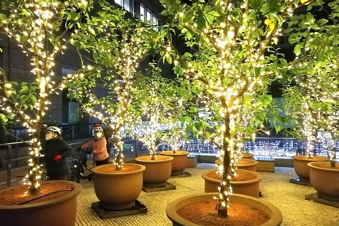 Tokyo Winter Illumination Ebike Tour - Ebike Riding Experience
