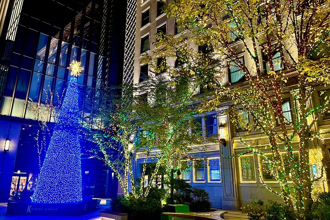 Tokyo Winter Illumination Ebike Tour - Highlights of the Tour