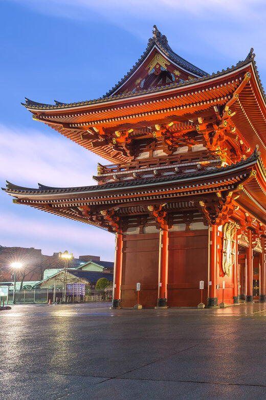 Tokyo: Winter Illuminations Private Tour with a Local - FAQ