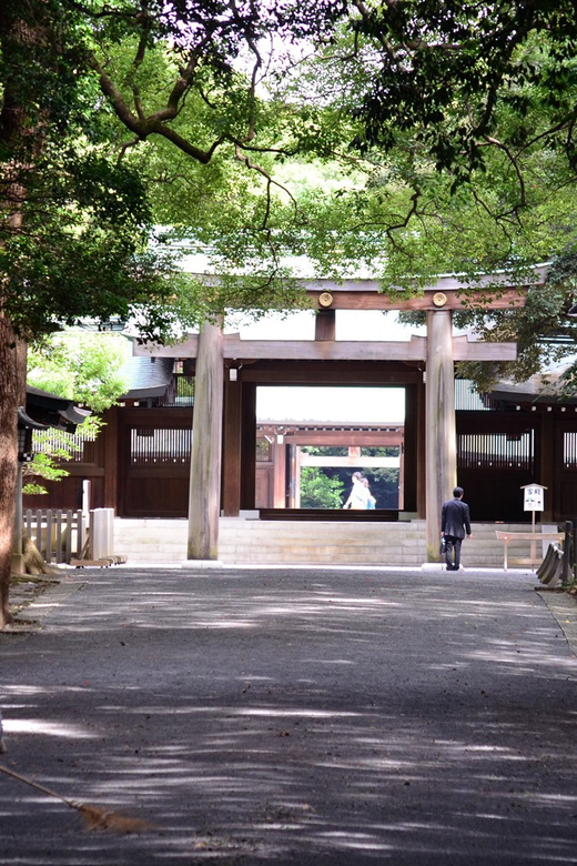 Tokyo: With Private Car Personalized Private 6-Hour Tour - Tokyo Sky Tree: Towering Over the City