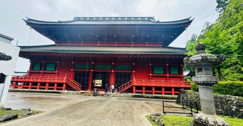 Tokyo/yokohama: Full Day Nikko Private Sightseeing Trip - An In-Depth Look at the Tour Experience