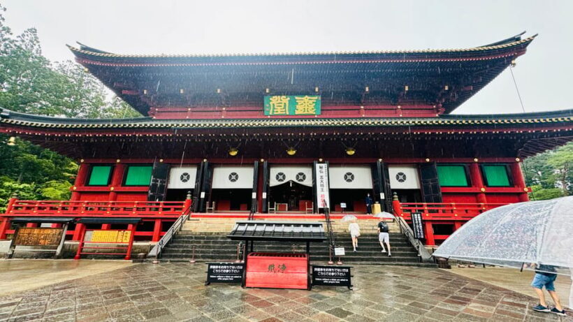 Tokyo/yokohama: Full Day Nikko Private Sightseeing Trip - Practical Details