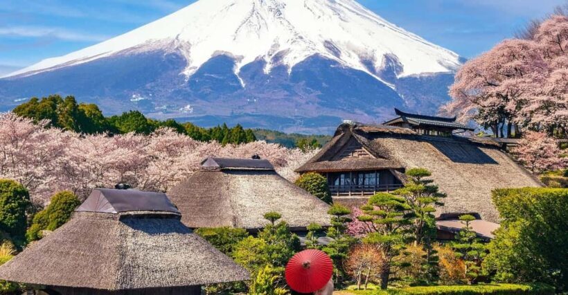 Tokyo/Yokohama: Mt. Fuji and Hakone Private Day Tour - Key Points