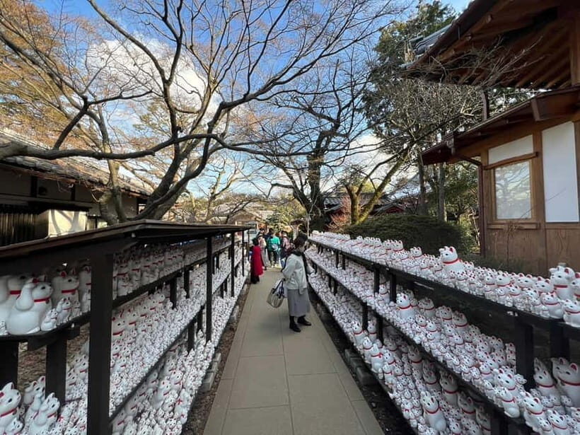 Tokyo:An Unique temple Walking Tour for cat lovers - Key Points