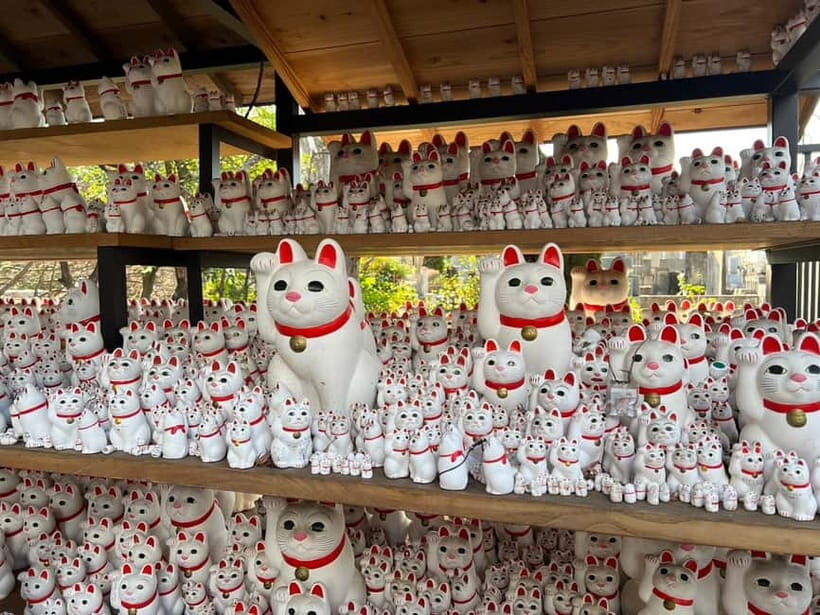 Tokyo:An Unique temple Walking Tour for cat lovers - How the Experience is Valued