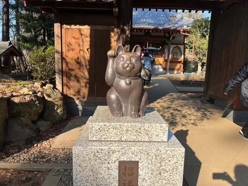 Tokyo:An Unique temple Walking Tour for cat lovers - Who Should Consider This Tour?