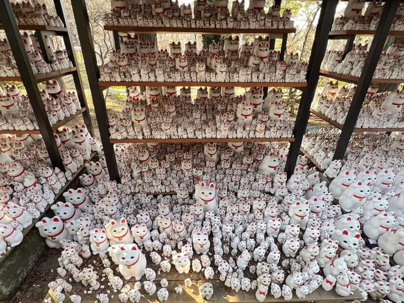 Tokyo:An Unique temple Walking Tour for cat lovers - The Sum Up