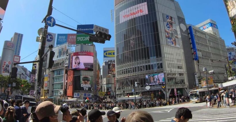 TokyoCalligraphy & Zen Mindful Journey+Take Home Memory - Practical Tips for Travelers