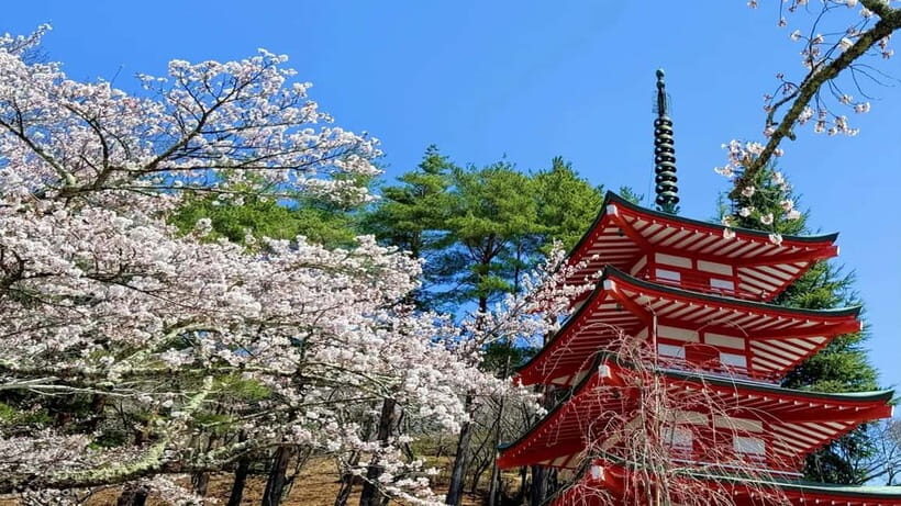 Tokyo:Fuji-Kawagu Cable Car (Ticket Inc.) Shinkurayama&Panos - Key Points