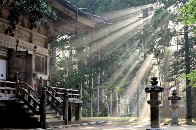 Tokyo:Hitachi seaside Park/Oarai isosaki shrine private tour - FAQ