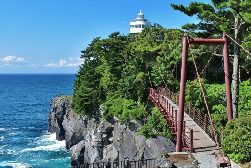 Tokyo:Izu Penisula Train Mt Omuro, Capybara Sightseeing Trip - Summary: Who Is This Tour For?