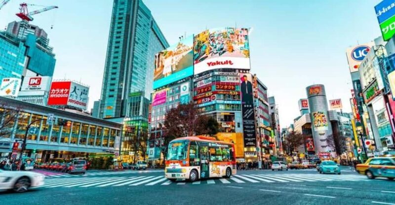 Tokyo:Luxury Private Tour With English-Speaking Driver - Visiting the Imperial Palace East Gardens