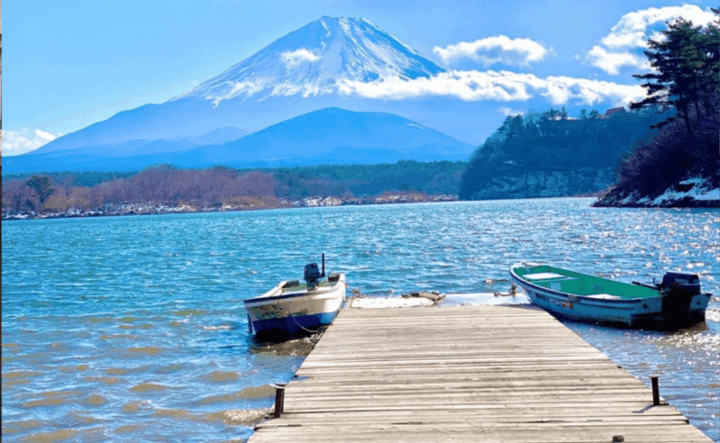 Tokyo:Mount Fuji ,Hakone & Lake Ashi Cruise Trip With Lunch. - Transportation and Accessibility