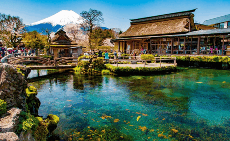 Tokyo:Mount Fuji ,Hakone & Lake Ashi Cruise Trip With Lunch. - Customer Feedback and Recommendations