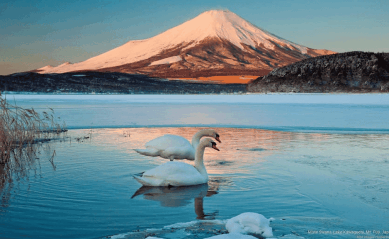Tokyo:Mount Fuji ,Hakone & Lake Ashi Cruise Trip With Lunch. - Frequently Asked Questions