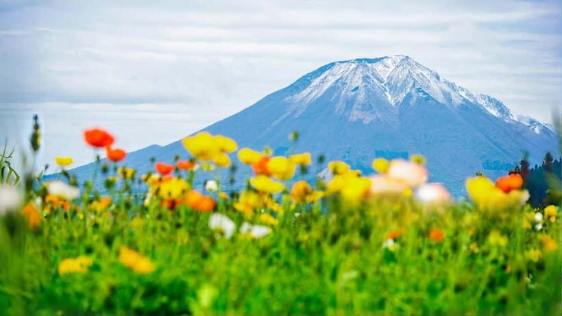 Tokyo:Mt. Fuji 5th Station&Onsen Day Trip | Seasonal Special - Who Should Book This Tour?