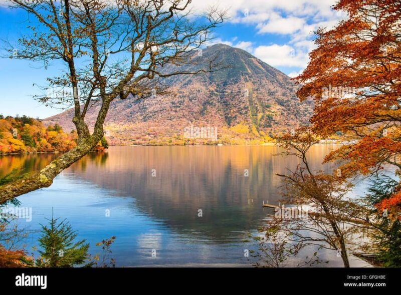 Tokyo:Nikko Private Full Day Sightseeing Day Trip - Booking and Availability