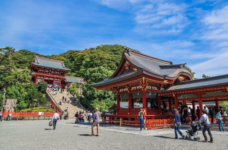 Tokyo:Private Cutomizable Day Tour to Kamakura - Transportation and Driver Information