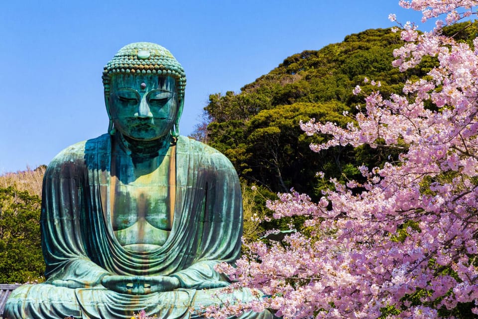 Tokyo:Private Cutomizable Day Tour to Kamakura - What to Expect on the Tour