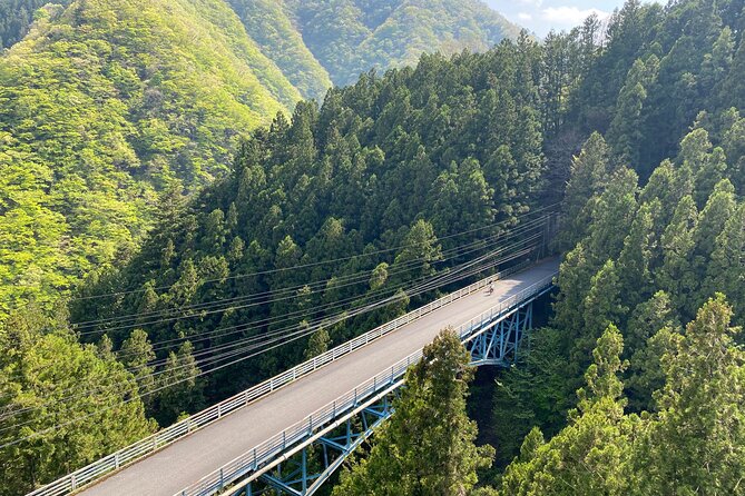 Tokyos Hidden Nature Cycling Tour - Okutama Historical Road Tour - Reviews and Ratings