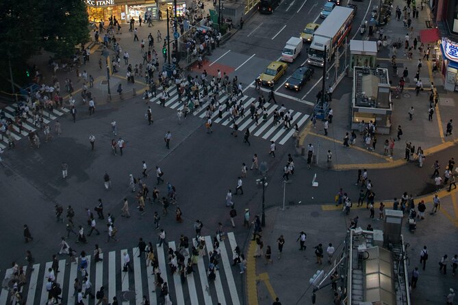 Tokyos Private Tour : From Ancient Temples to Modern Tokyo - Customizing the Tour to Your Preferences