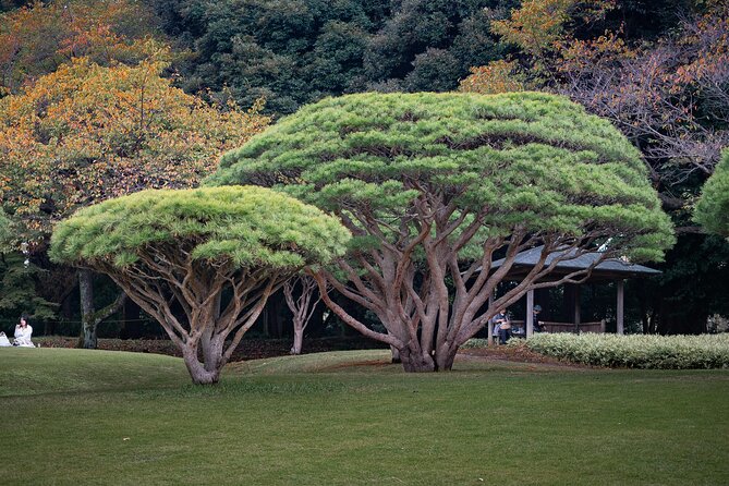 Tokyos Private Tour : From Ancient Temples to Modern Tokyo - Common Questions