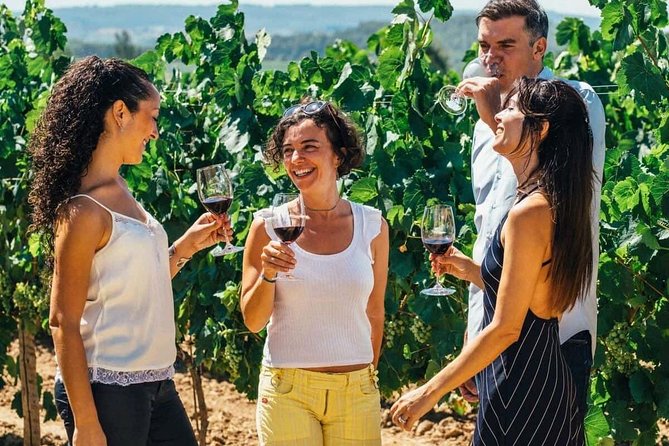 Toledo City Tour, Winery Experience & Wine Tasting from Madrid - Why This Tour Stands Out