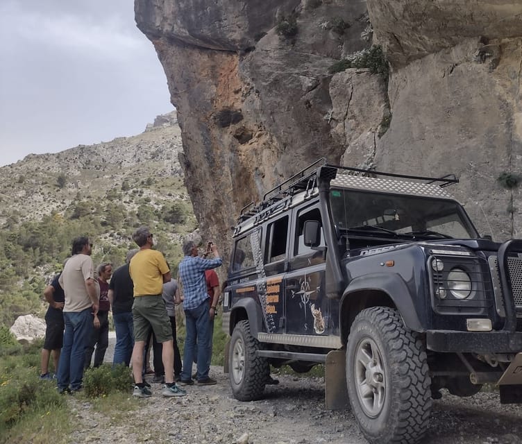 Tolox: Sierra de las Nieves National Park Private 4x4 Tour - Tasting the Flavors of Andalusia