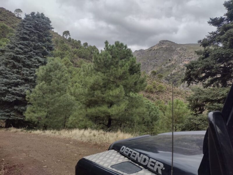 Tolox: Sierra de las Nieves National Park Private 4x4 Tour - Who Will Love This Tour?