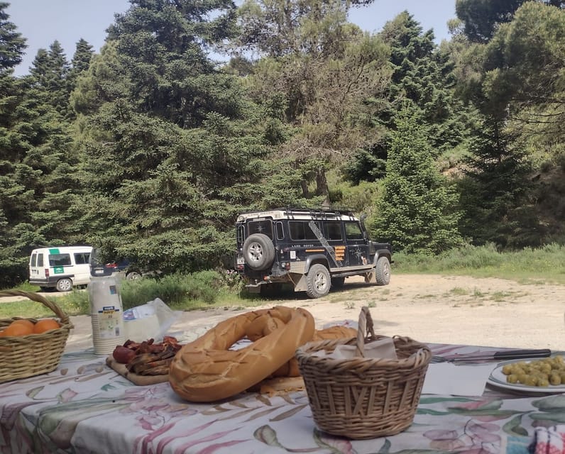 Tolox: Sierra de las Nieves National Park Private 4x4 Tour - Final Thoughts: Is It Worth It?