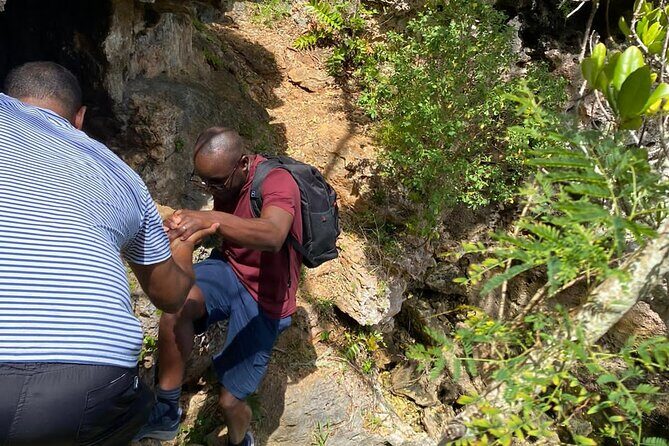 Tom Moores Jungle and Eco Tour - Exploring Bermuda’s Hidden Green Side: Tom Moores Jungle and Eco Tour