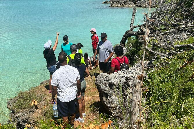 Tom Moores Jungle and Eco Tour - Evaluating the Value and Practicalities