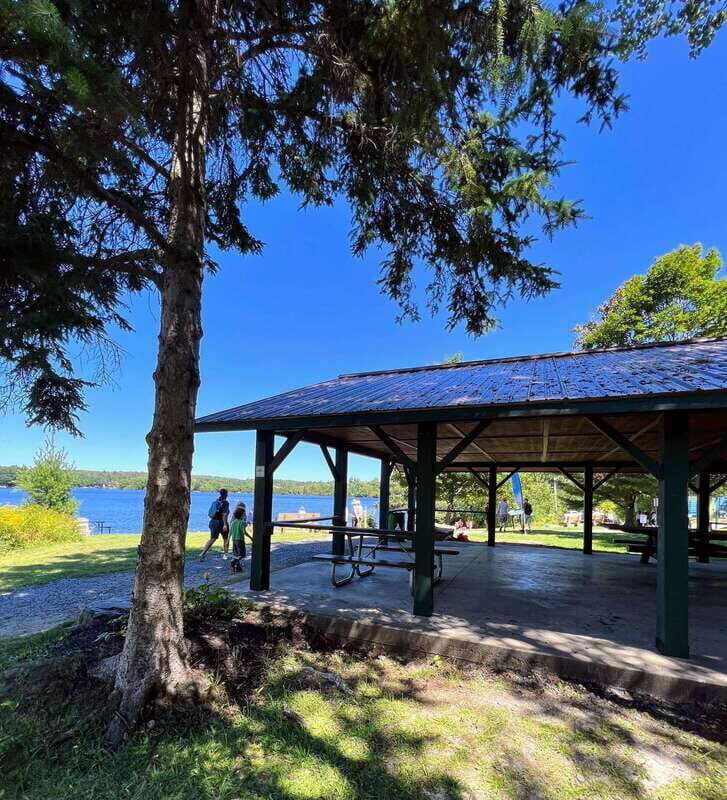 Tom Thomson Mystery Walking Tour with Smartphone App - Key Points