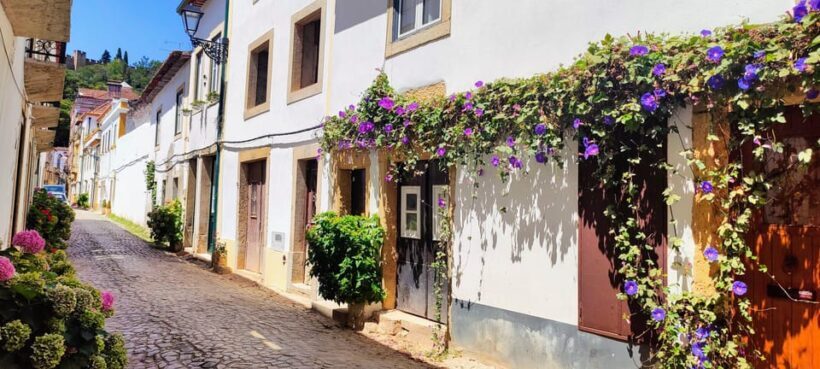 Tomar and Almourol: A Day of Templar Heritage (From Lisbon) - An In-Depth Look at the Tour