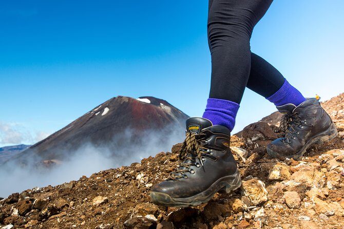 Tongariro Alpine Crossing Ketetahi Shuttle - An In-Depth Look at the Tongariro Alpine Crossing and Shuttle Service