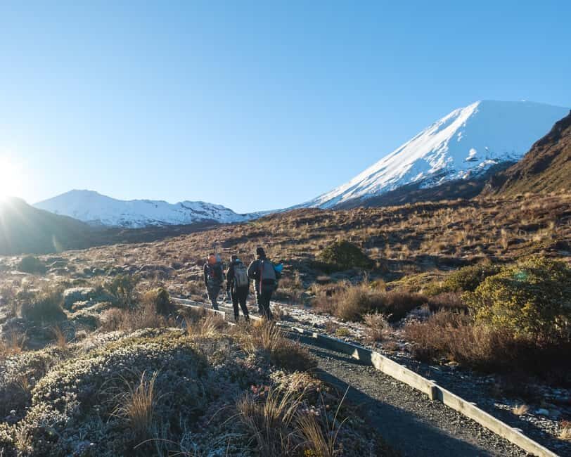 Tongariro Alpine Crossing: Premium Guided Hike - An Impressive 1-Day Walk Through Active Volcanoes and Breathtaking Scenery