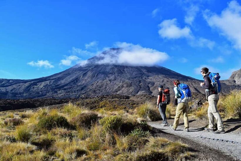 Tongariro Alpine Half Day Guided Group Walk - What to Expect on Your Tour
