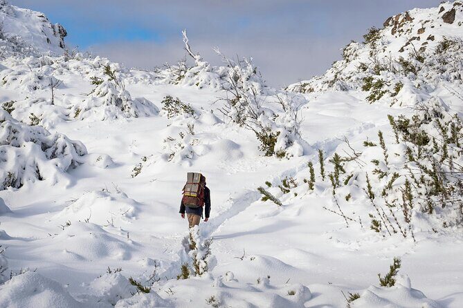 Tongariro National Park Northern Explorer Train and Snowshoeing - Who Is This Tour Best For?